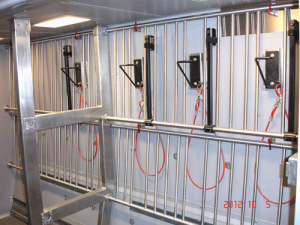 Taking Your Bike on the Train for the First Time